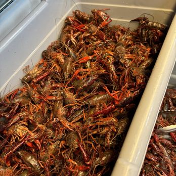 ENSON MARKET - Updated December 2025 - 371 Photos & 35 Reviews - 1385 ...