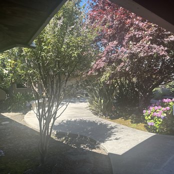 NORCAL IMAGING | OAKLAND - Updated January 2026 - 27 Photos & 298 ...