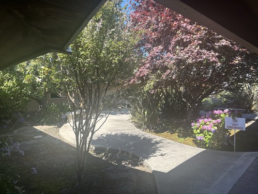 NORCAL IMAGING | OAKLAND - Updated January 2026 - 27 Photos & 298 ...