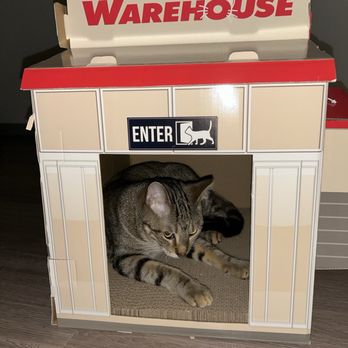 COSTCO - Updated October 2025 - 15 Photos & 14 Reviews - 3173 S Kanner ...