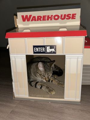 COSTCO - Updated September 2025 - 15 Photos & 14 Reviews - 3173 S ...