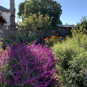 BRICKMAIDEN BREADS - 52 Photos & 74 Reviews - 40 4th St, Point Reyes ...