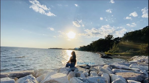 NORTH POINT STATE PARK - Updated September 2024 - 116 Photos & 29 ...