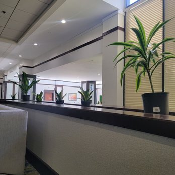 DOUBLETREE BY HILTON HOTEL WILLIAMSBURG - Updated December 2025 - 349 ...