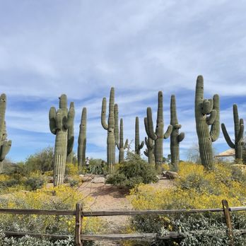 RIPARIAN PRESERVE AT WATER RANCH - Updated December 2025 - 745 Photos ...