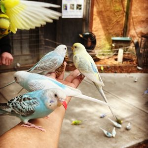 BEE CITY ZOO - 351 Photos & 90 Reviews - 1066 Holly Ridge Ln ...