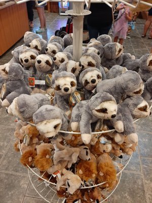 LIVING TREASURES ANIMAL PARK - Updated August 2024 - 57 Photos & 41 ...