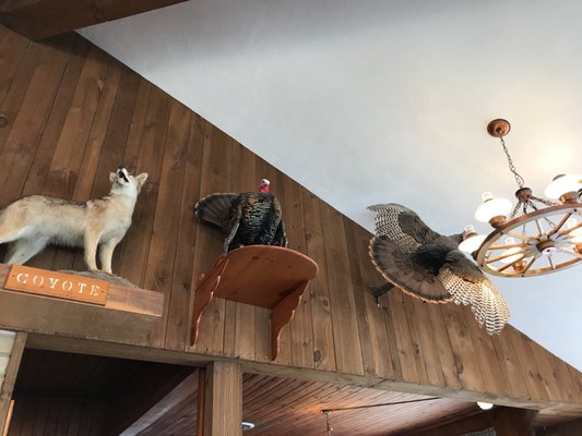 FRY BROTHERS TURKEY RANCH - Updated January 2025 - 43 Photos & 69 ...