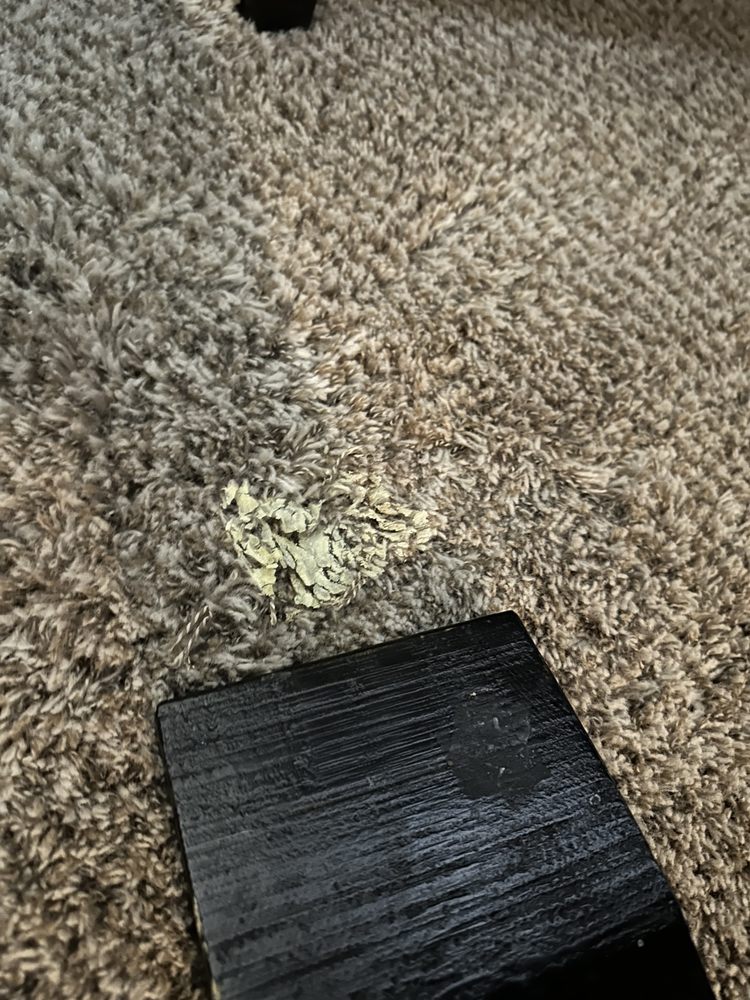 WE CLEAN CARPET - Updated December 2025 - 29 Photos & 84 Reviews ...