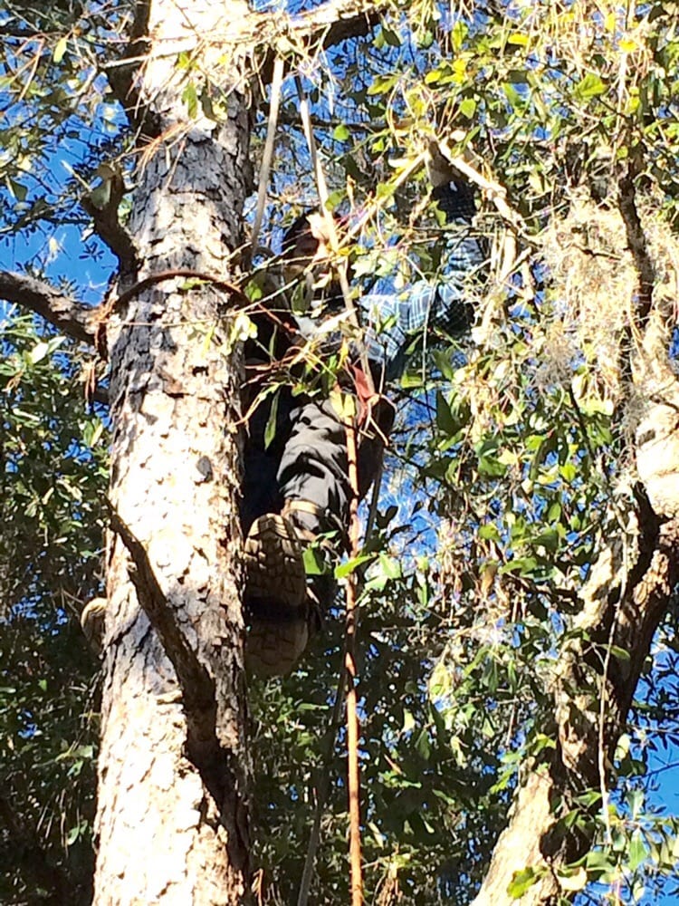 PITTMAN TREE SERVICE INC - Updated December 2025 - 2530 Post St ...