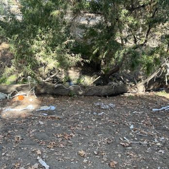 CALM ZOO - Updated September 2024 - 464 Photos & 160 Reviews - 10500 ...