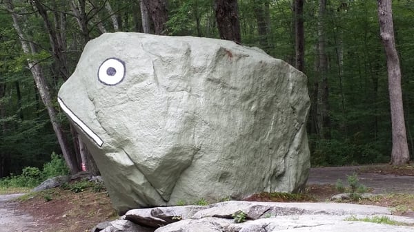 FROG ROCK - Updated August 2025 - 34 Photos & 18 Reviews - Pomfret Road ...