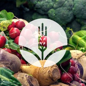 ROCKETS CONVENIENCE PLUS - Updated November 2025 - 1207 W 2nd St ...