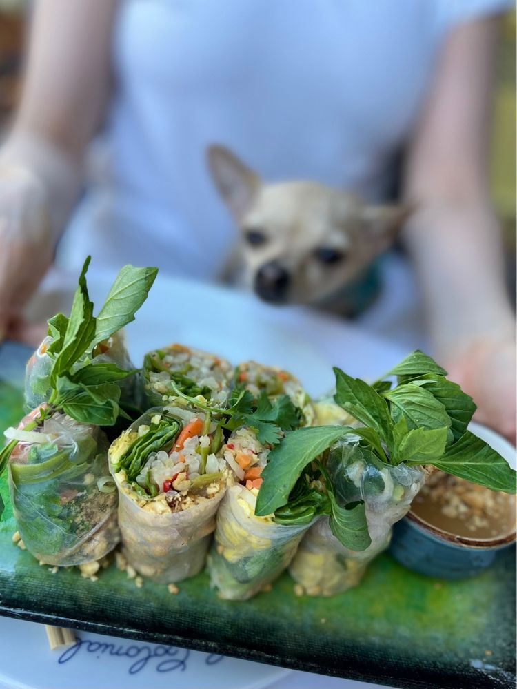 LE COLONIAL - HOUSTON - Updated October 2025 - 1522 Photos & 731 ...