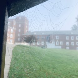 ONEONTA JOB CORPS CENTER - 21 Homer Folks Ave, Oneonta, New York ...