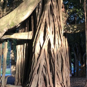 INGRAHAM PARK - Updated March 2025 - 50 Photos & 10 Reviews - 4751 ...