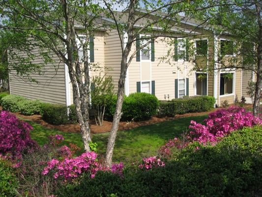 THE GROVE AT SPRING VALLEY - Updated July 2025 - 127 Sparkleberry Ln ...