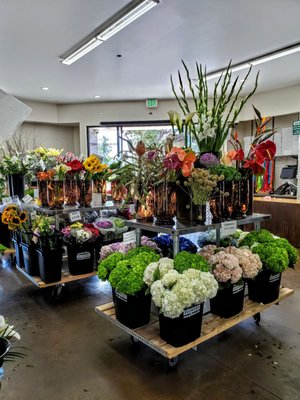 GROWERS DIRECT FLOWERS - 187 Photos & 198 Reviews - 155 W 1st St ...