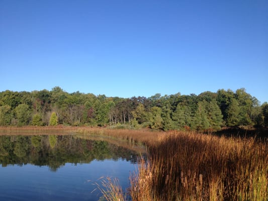 TRINE STATE RECREATION AREA CABINS - Updated December 2025 - 145 W ...