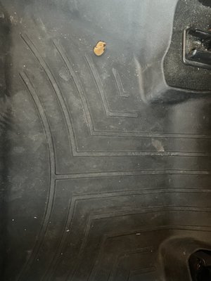 SQUEAKY CLEAN CAR WASH - Updated October 2025 - 45 Photos & 112 Reviews ...