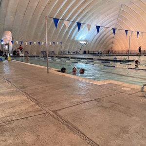 NORTH ARUNDEL AQUATIC CENTER - 20 Photos & 43 Reviews - 7888 Crain Hwy ...