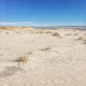 BRIGANTINE BEACH - Updated May 2024 - 302 Photos & 40 Reviews - 27th ...