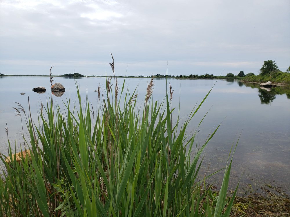 NINIGRET PARK - 73 Photos & 27 Reviews - Parks - RI-1A, Charlestown, RI ...