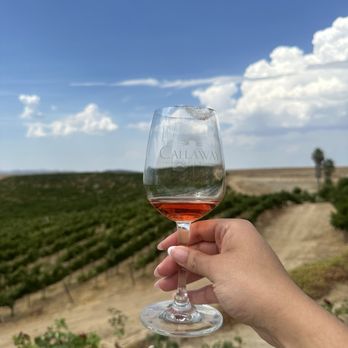 CALLAWAY VINEYARD & WINERY - Updated November 2024 - 1563 Photos & 905 ...