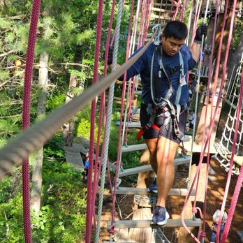 TREETOP ADVENTURES - TEMP. CLOSED - Updated December 2025 - 92 Photos ...