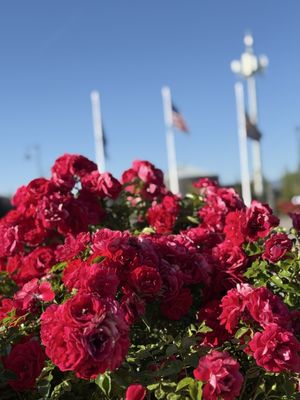 MINDEN MILL DISTILLING - Updated December 2025 - 208 Photos & 50 ...