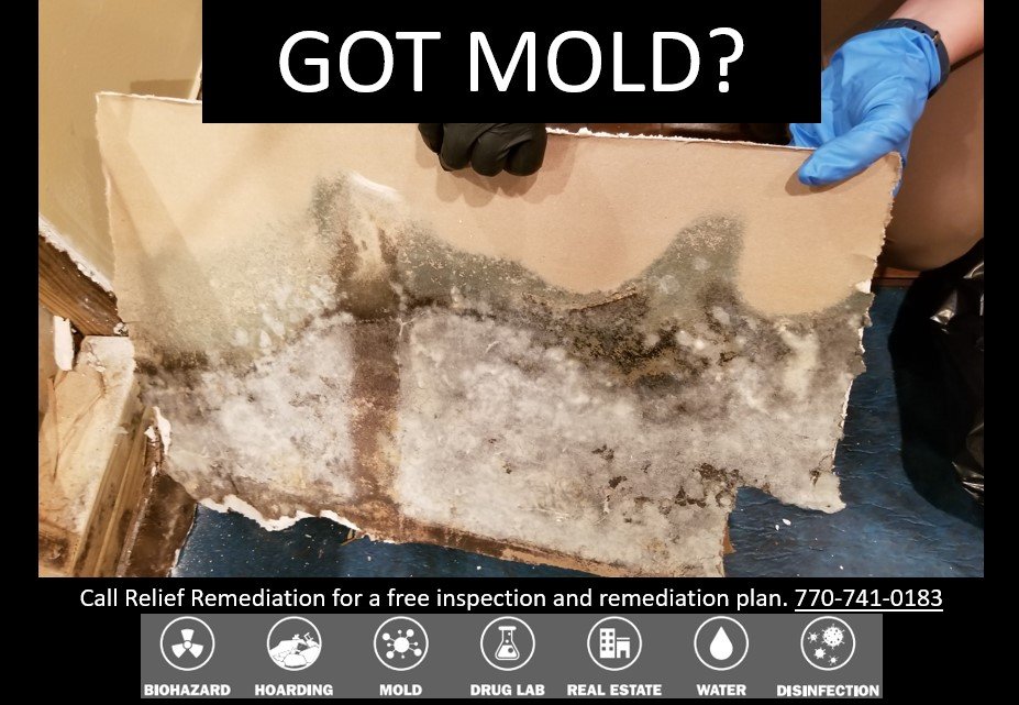 RELIEF REMEDIATION - Updated June 2025 - Request a Quote - 380 Winkler ...