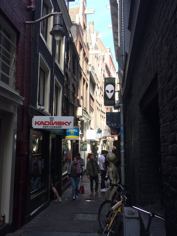 ALIEN VISITORS - Updated December 2025 - Zoutsteeg 13, Amsterdam, Noord ...