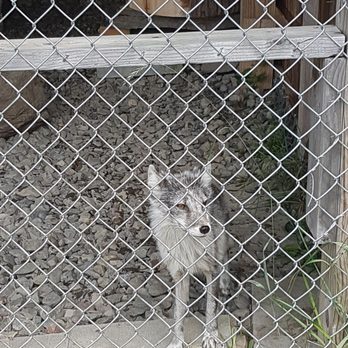 WOLF MOUNTAIN NATURE CENTER - Updated November 2025 - 27 Photos - 562 ...