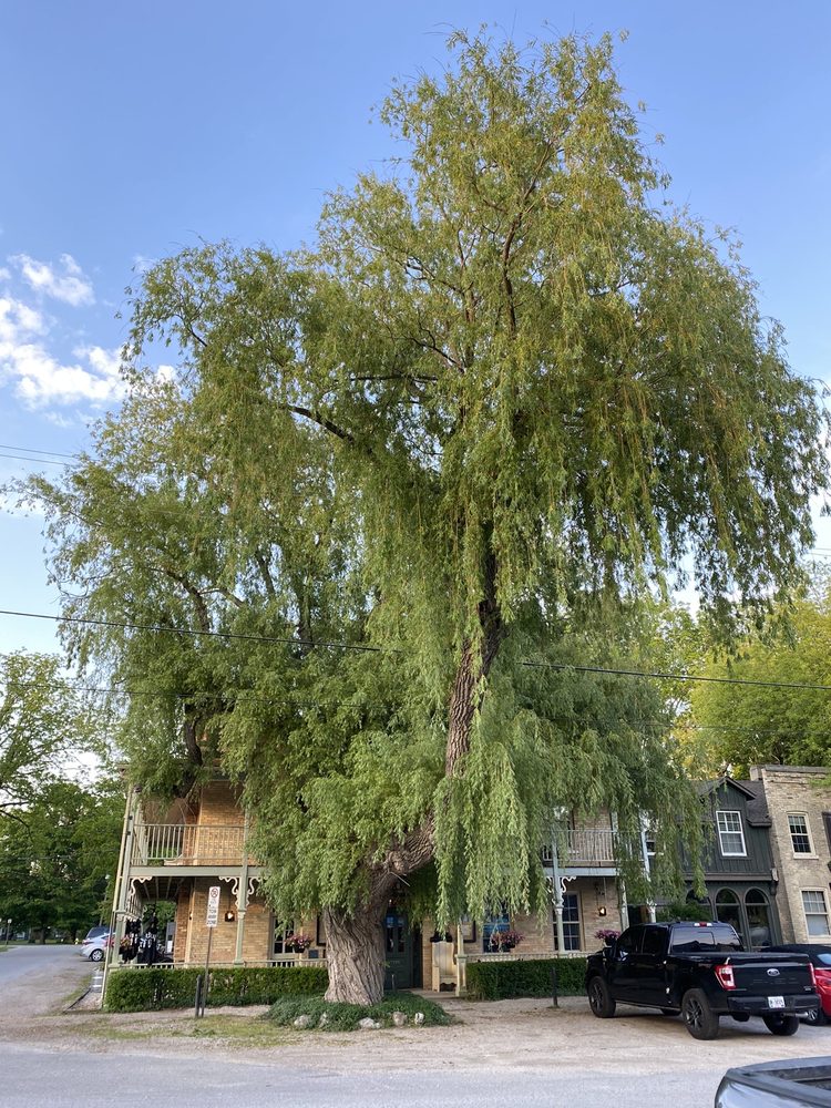 THE LITTLE INN - Updated September 2024 - 23 Photos - 26 Main Street N ...