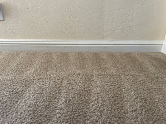 WORLD CLASS CARPET CLEANING - Updated March 2025 - 196 Photos & 477 ...
