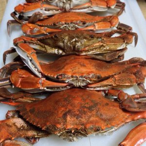 TINEE GIANT - Updated June 2025 - 123 W Ocean View Ave, Norfolk ...