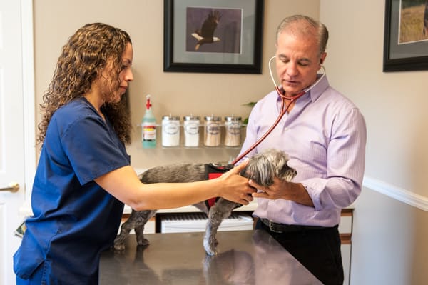 THE COUNTRY VET - Updated October 2025 - 41 Photos & 125 Reviews - 511 ...