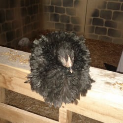 FAITH CHAPEL - 26 Photos & 17 Reviews - 9400 Campo Rd, Spring Valley ...