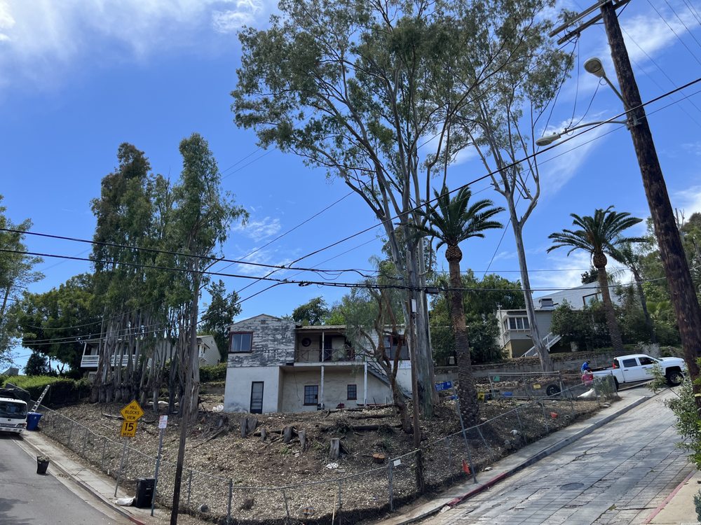 CALIFORNIA ELITE TREE SERVICES & MAINTENANCE - Updated April 2025 - 134 ...