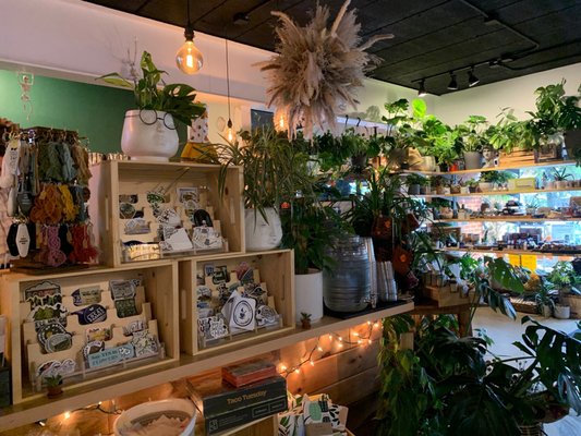 CAFE CONMIGO - Updated April 2025 - 157 Photos & 91 Reviews - 10 N ...