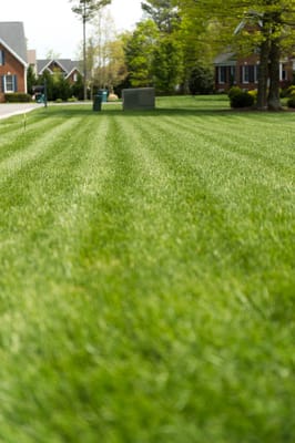 VIRGINIA GREEN - Updated October 2024 - 41 Photos & 71 Reviews - 7421 ...