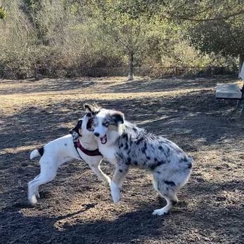 RAGLE RANCH REGIONAL PARK - Updated October 2025 - 65 Photos & 50 ...