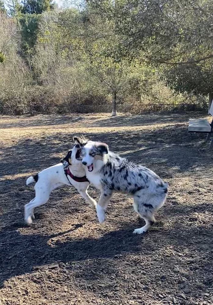 RAGLE RANCH REGIONAL PARK - Updated May 2024 - 52 Photos & 44 Reviews ...