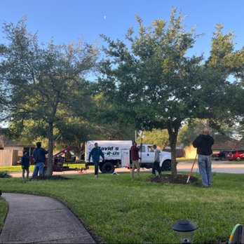 DAVID’S TREES R US - Updated September 2025 - 306 N Gordon St, Alvin ...