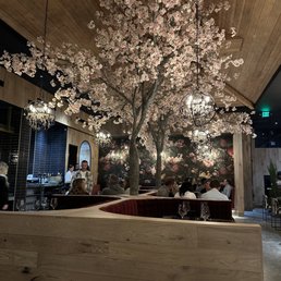 LUPESSA - Updated October 2025 - 612 Photos - 248 Reviews - 156 S 400th ...