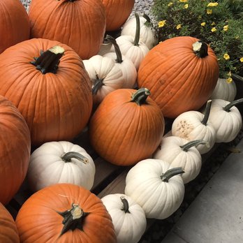 THE APPLE WORKS - Updated October 2025 - 324 Photos & 99 Reviews - 8157 ...