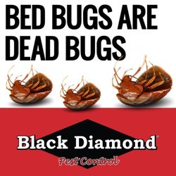 BLACK DIAMOND TERMITE & PEST CONTROL - 10 Photos & 36 Reviews - 4911 ...