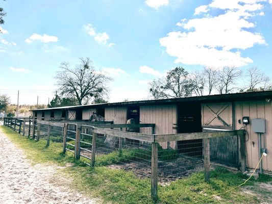 GREY GOOSE FARM - Updated December 2025 - 13 Photos - 3915 CR 210 W, St ...