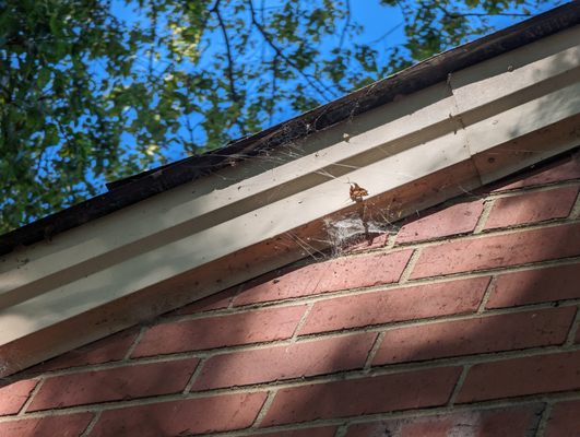 ECOSHIELD PEST SOLUTIONS - Updated November 2025 - 45 Photos & 210 ...