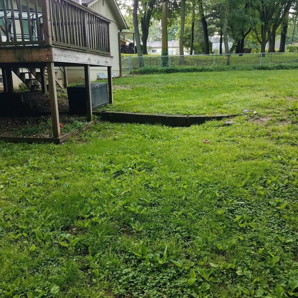 GREEN LIGHT LANDSCAPING - Updated September 2025 - Request a Quote ...